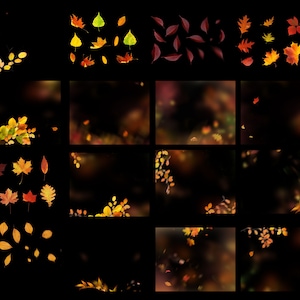 100 Fall Leaves Overlays, Autumn PNG Leaf Photoshop Overlays, Autumn ...