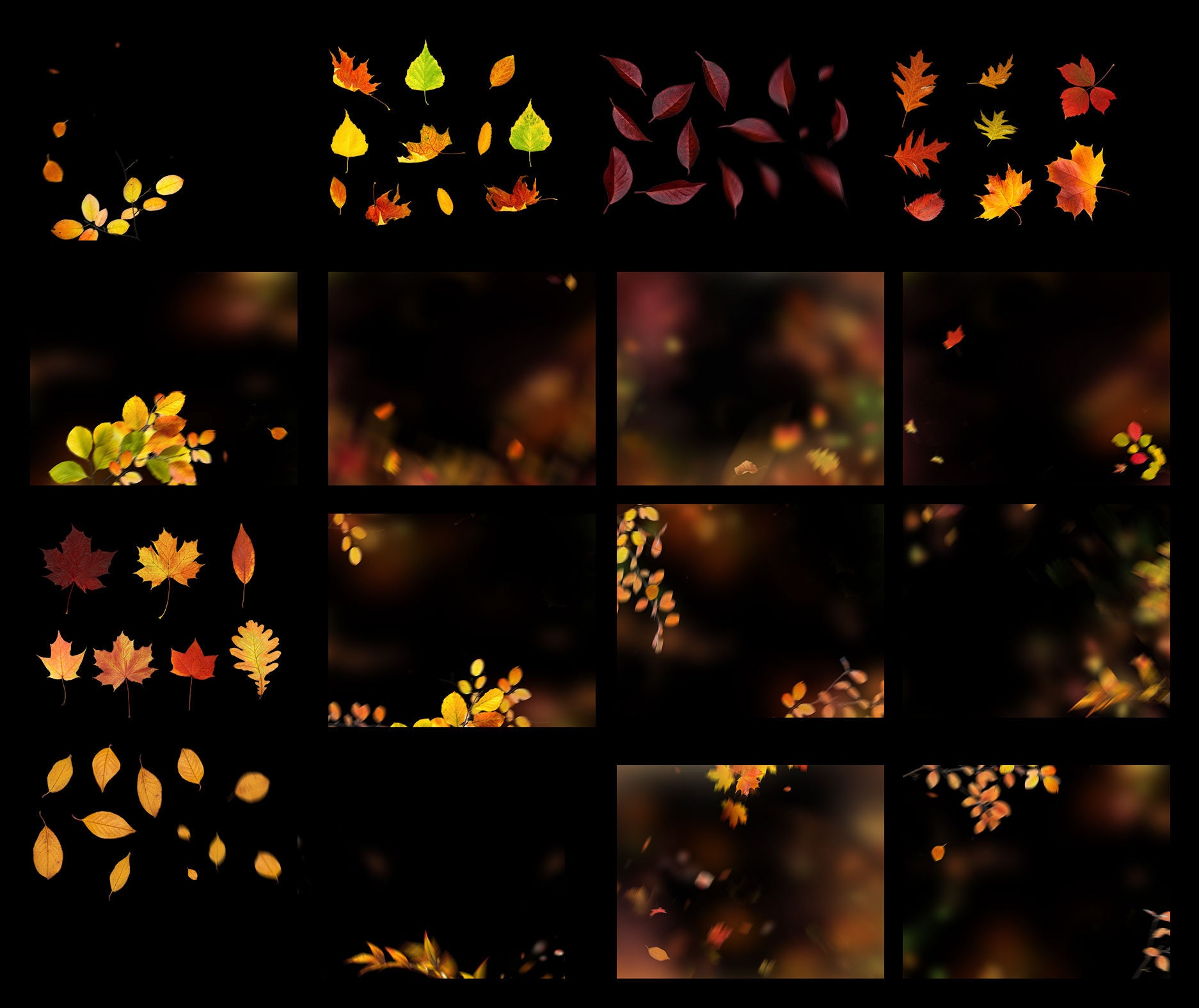 100 Fall Leaves Overlays, Autumn PNG Leaf Photoshop Overlays, Autumn ...