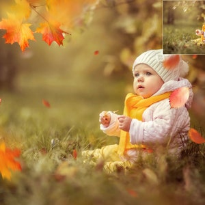 100 Fall Leaves Overlays, Autumn PNG Leaf Photoshop Overlays, Autumn ...