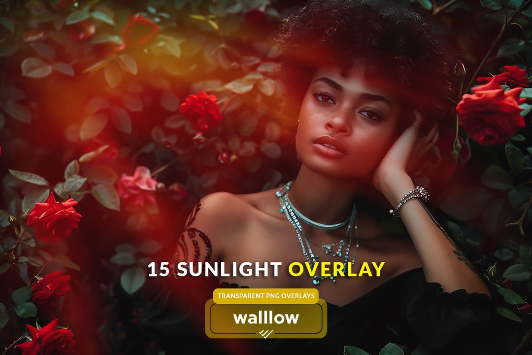 Sunlight Overlays, Natural Sunlight, Realistic Sunlight, Soft Subtle Sunlight, Sunset, Sunrise ...