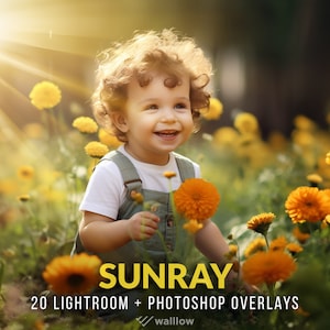 Photoshop Sun Overlays PNG, Sunlight Sunbeam Overlay, Sunlight Overlays ...