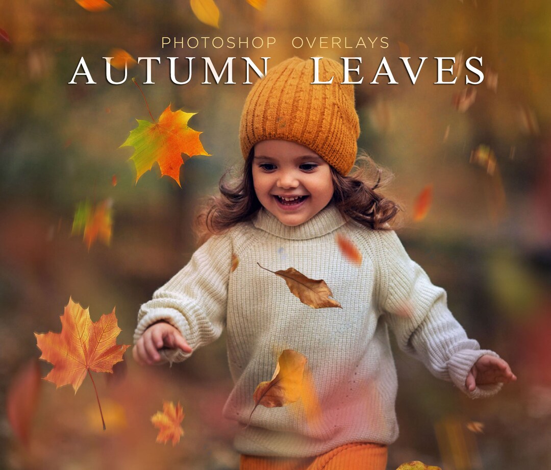 100 Fall Leaves Overlays, Autumn PNG Leaf Photoshop Overlays, Autumn ...