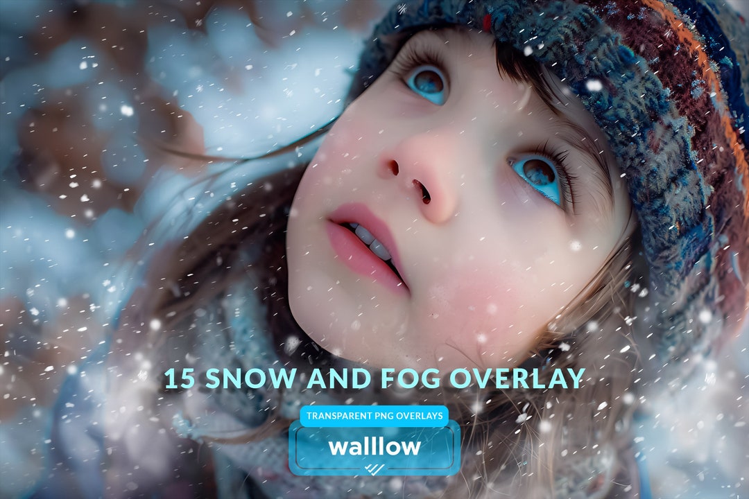 Snow Fog Transparent PNG Photo Overlays, Realistic Falling Snow PNG ...