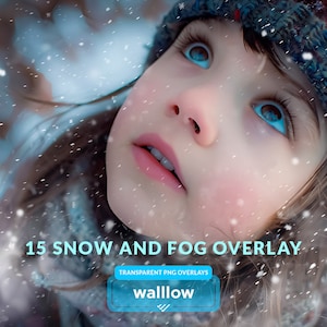 Snow Fog Transparent PNG Photo Overlays, Realistic Falling Snow PNG ...