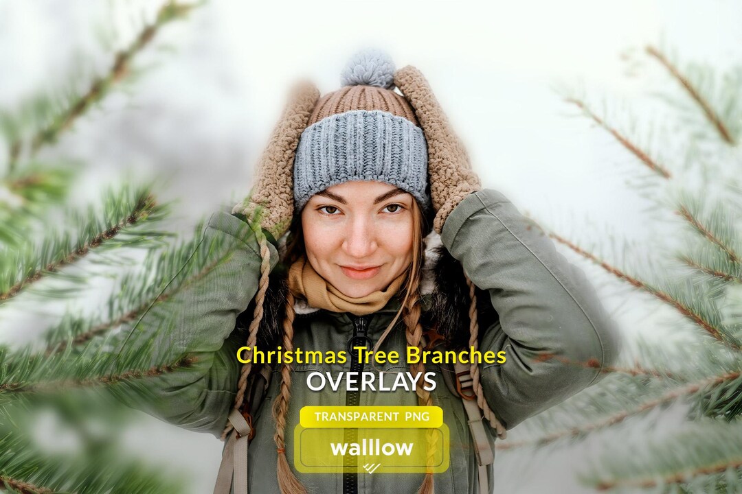 Christmas Tree Branch Overlays PNG | Transparent Holiday Clipart ...
