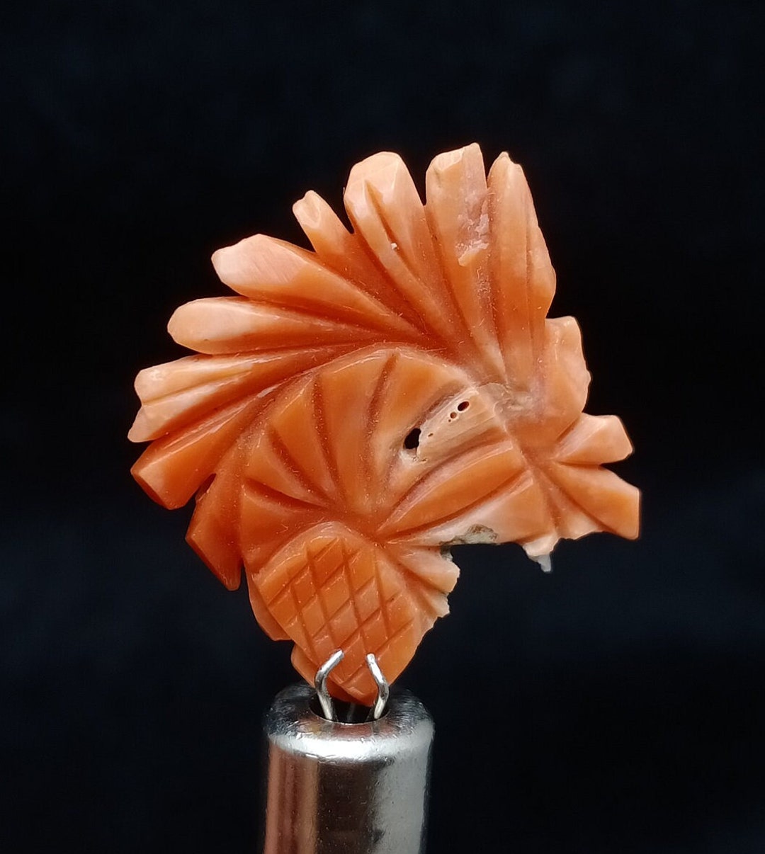 6.2 Carats Natural Coral/flower/hand Carved Measuring 24*22*2 Mm ...