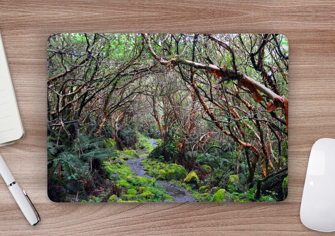 Deep Green Enchanted Forest Path Trees UNIVERSAL Laptop Skin, Computer ...