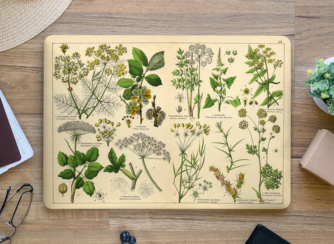 Medicinal Plants Herbs Garden Botanical UNIVERSAL Laptop Skin, Computer ...