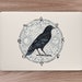 Witchy Crow Astrology Sun Moon Alchemy Folk UNIVERSAL Laptop Skin ...