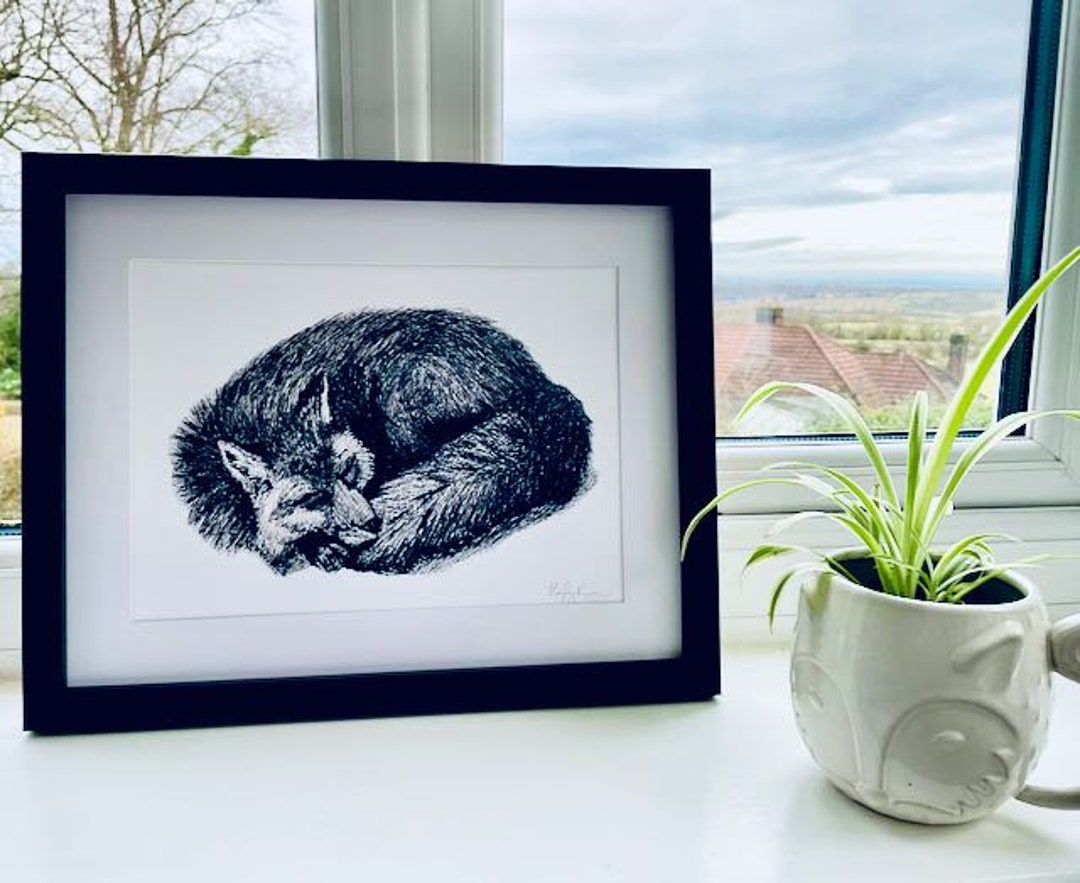 Fox Print-fox Biro Drawing Print - Etsy