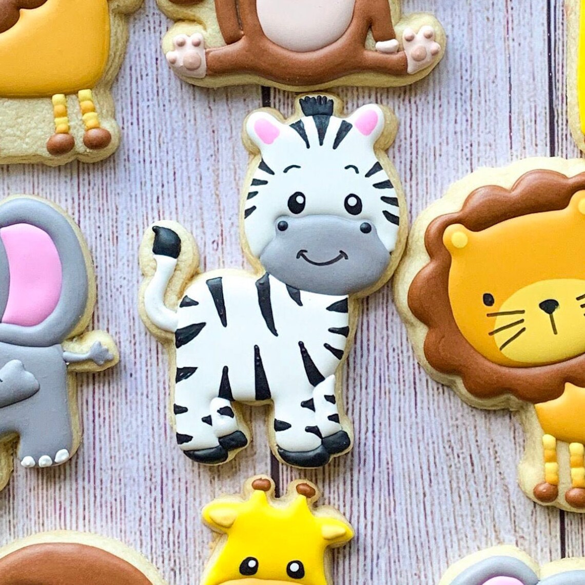 Zebra Cookie Cutter - Etsy