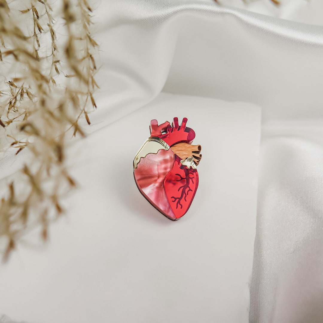 Anatomical Heart Lapel Pin Lasercut From Acrylic Glass, Perfect ...
