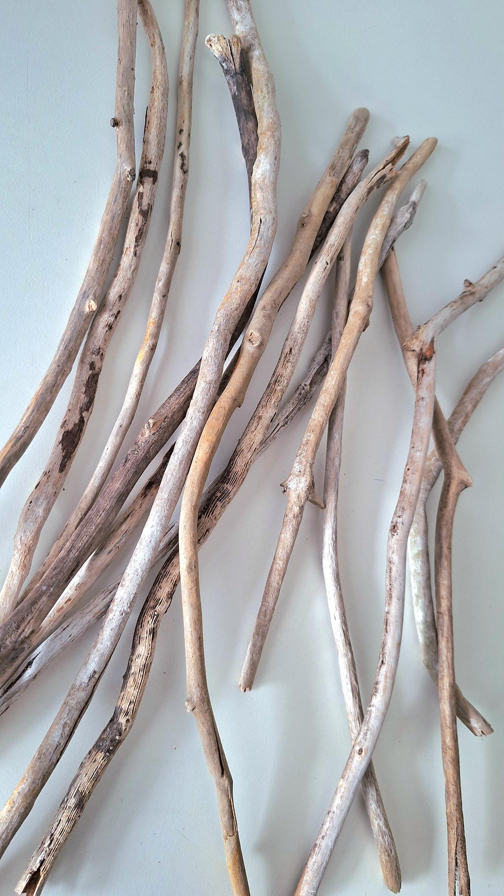 Baltic Sea Driftwood Twigs: Natural Beach Decor, DIY Crafts - Etsy