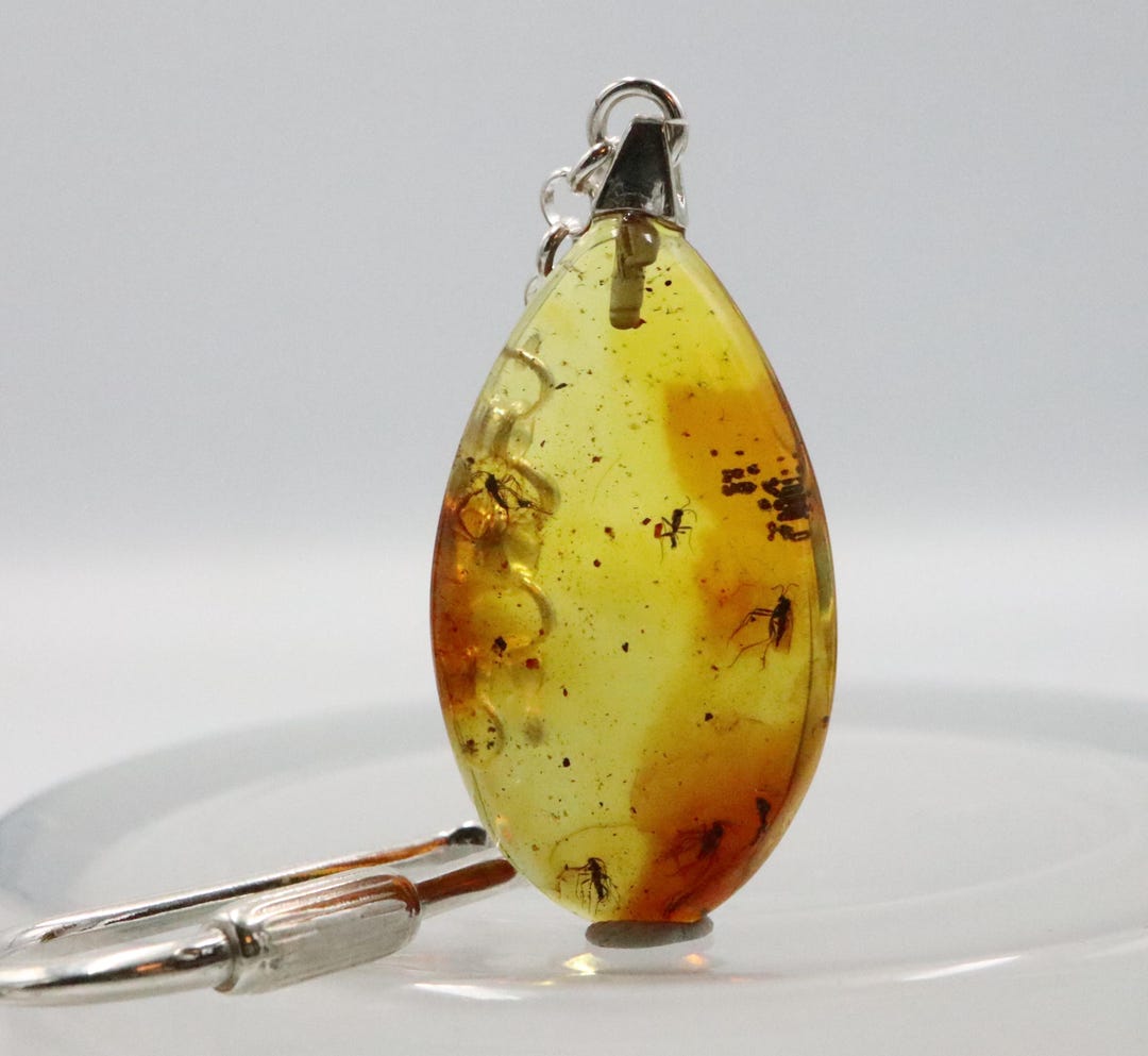 Amber Keychain With 6 INSECTS and 925 Sterling Silver Chain Natural ...