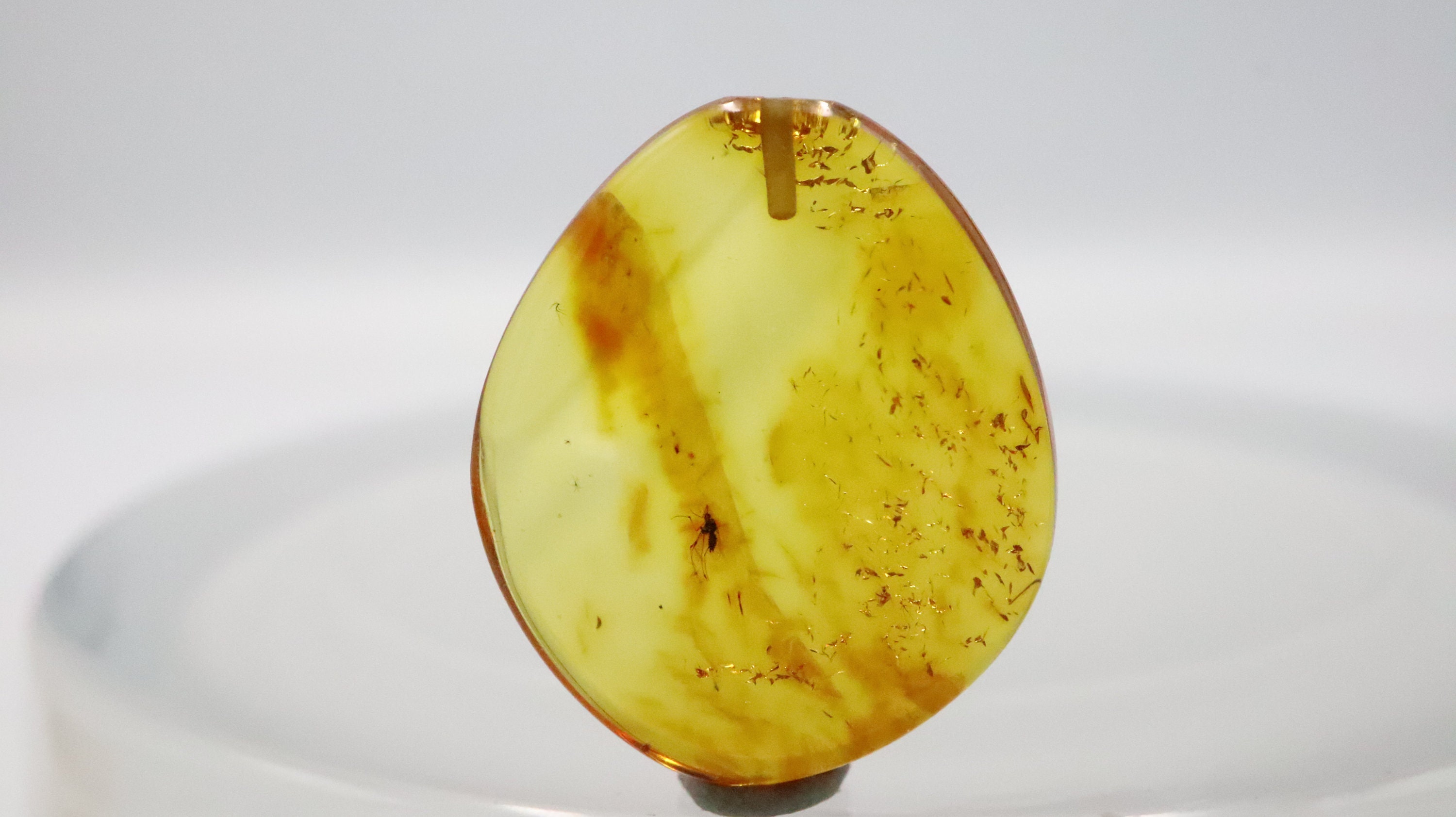 DRILLED 3 Lot Amber Stone With Insect Trapped for Million Years ...