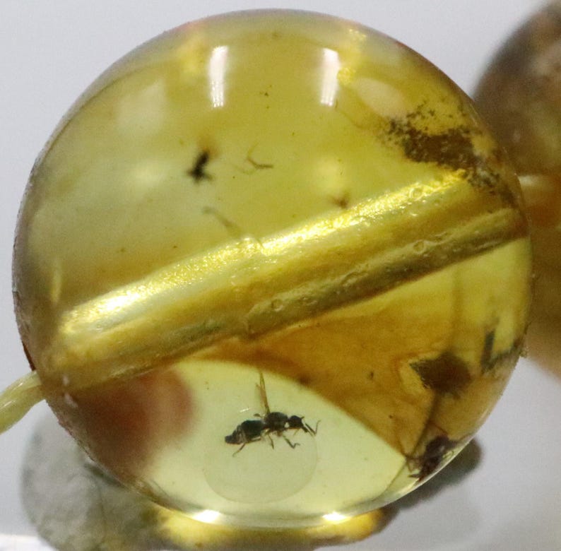 Islamic Muslim Prayer Amber 33 Beads WITH INSECTS in ALL Beads | 12.37 ...