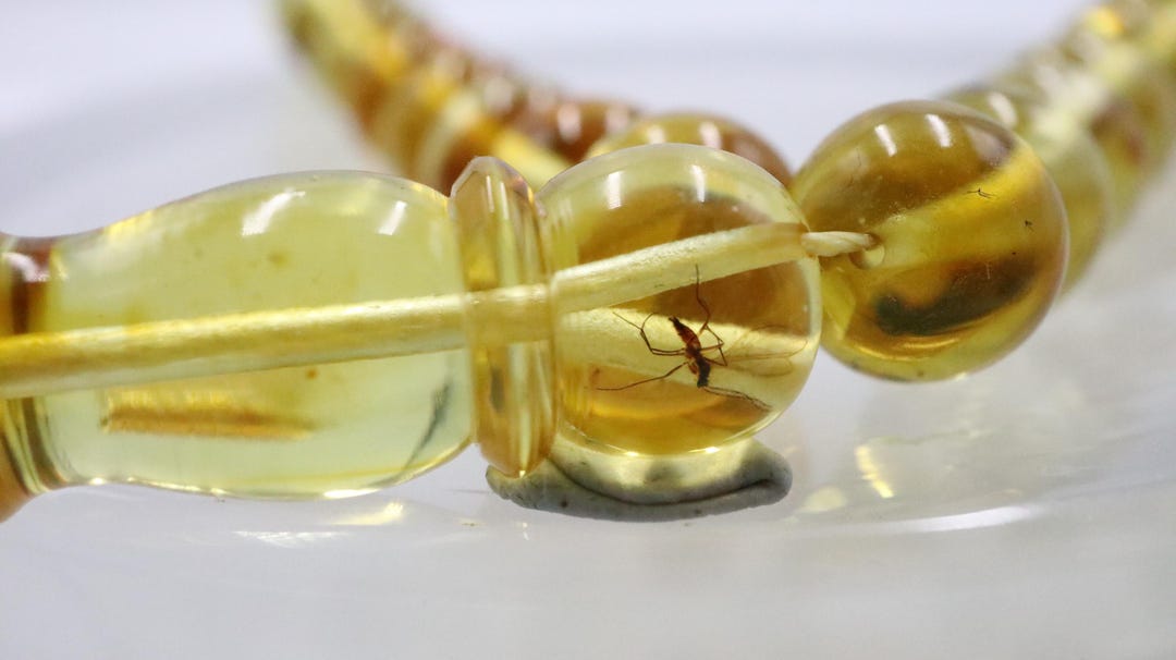Islamic Muslim Prayer Amber 33 Beads WITH INSECTS in ALL Beads 11.03 G ...