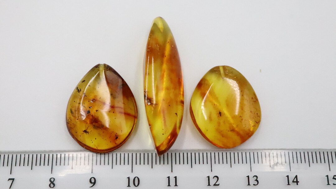 DRILLED 3 Lot Amber Stone With Insect Trapped for Million Years ...