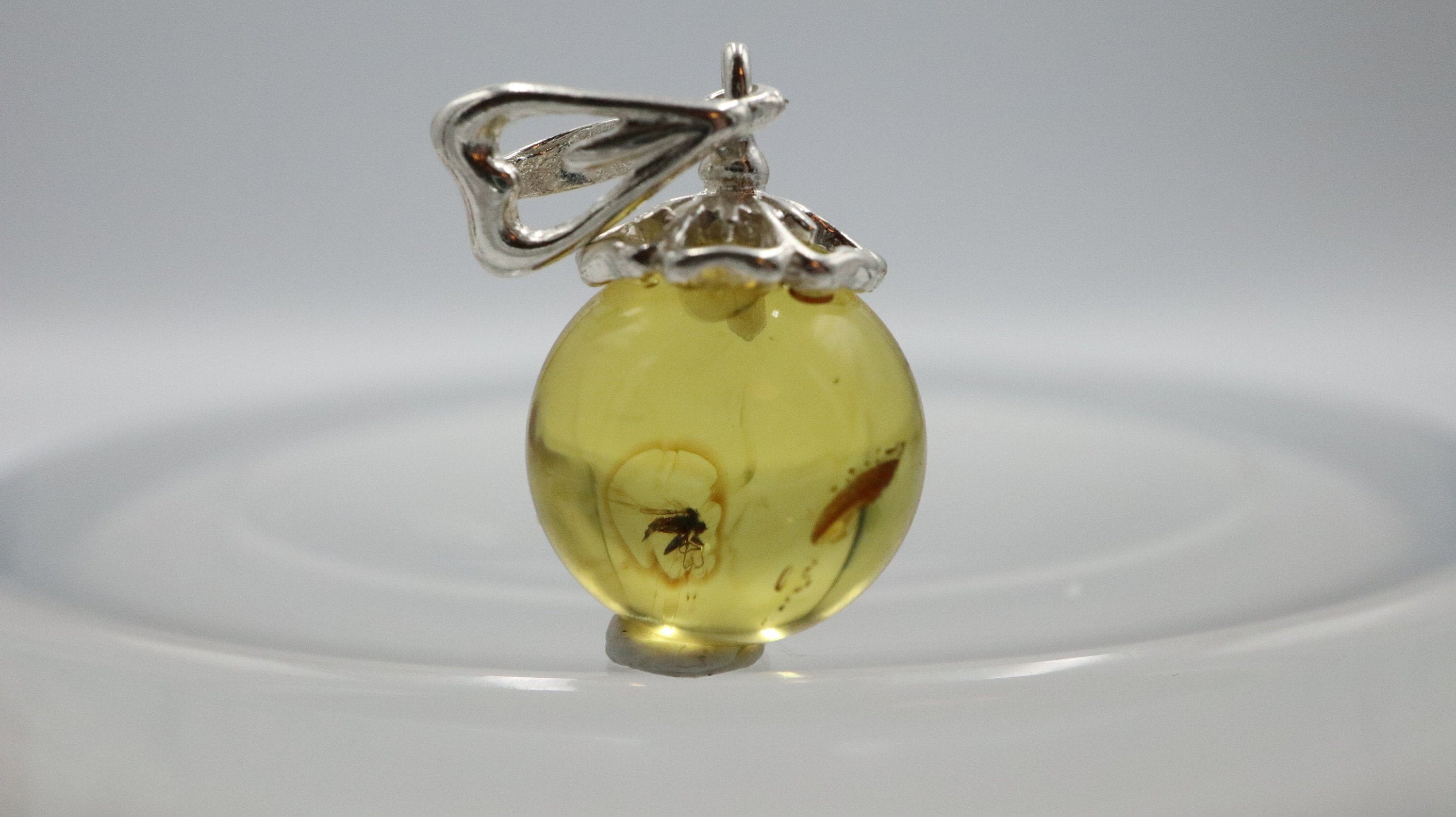 Amber Pendant Ideal Round Form With Insect, 925 Sterling Silver ...