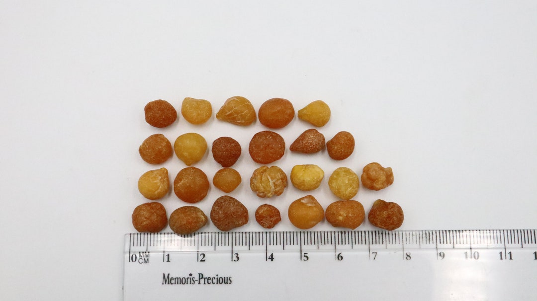 Baltic Amber Drops 25 Stones | Naturally Formed Over Millions of Years ...