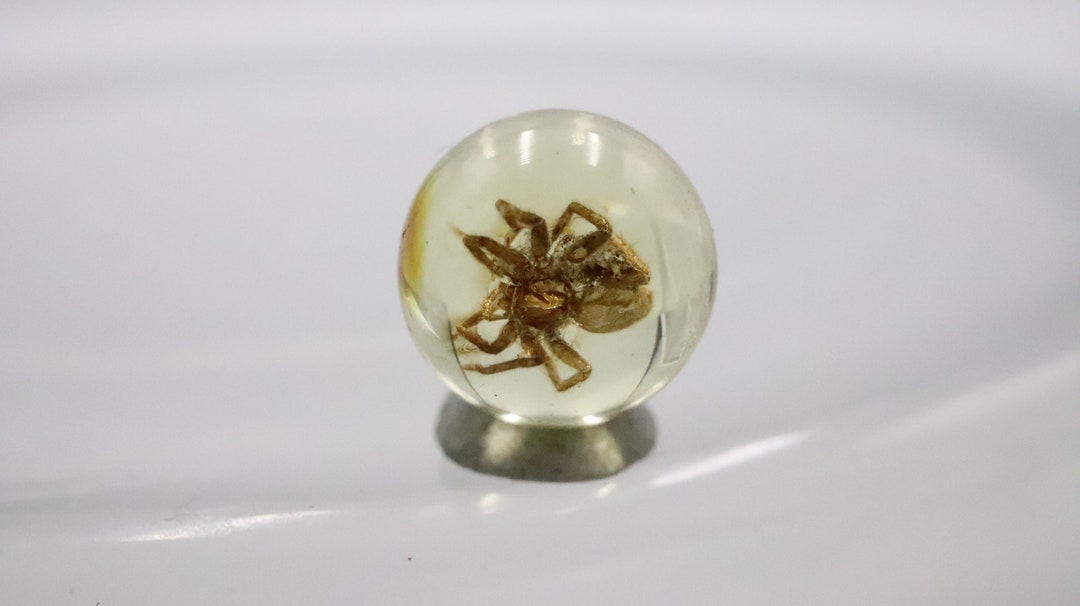 Amber Bead 7.16 Mm Sphere With Rare Spider Insect Trapped for - Etsy