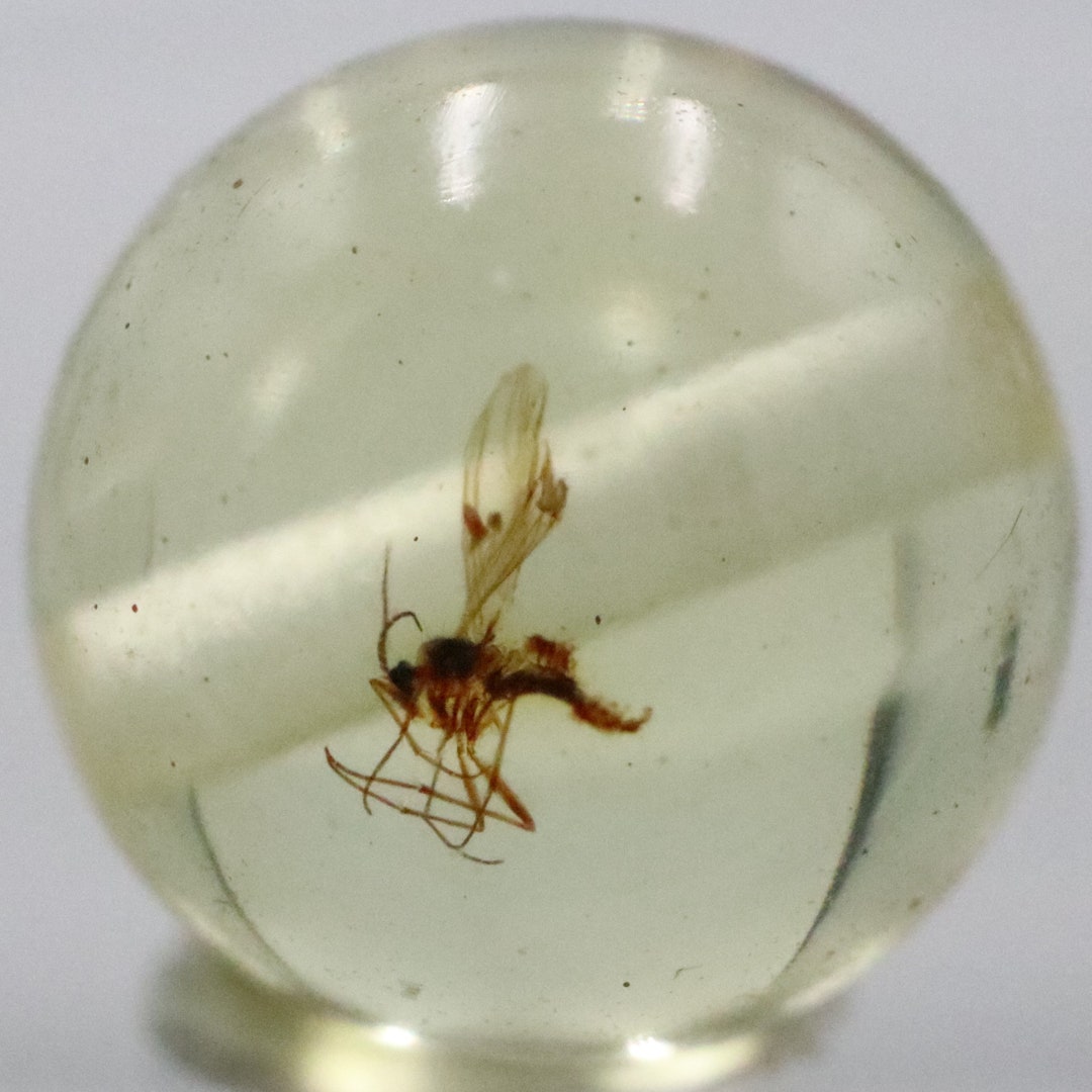 Islamic Muslim Prayer 66 Beads WITH INSECTS in 9 Beads | 16.79 G ...