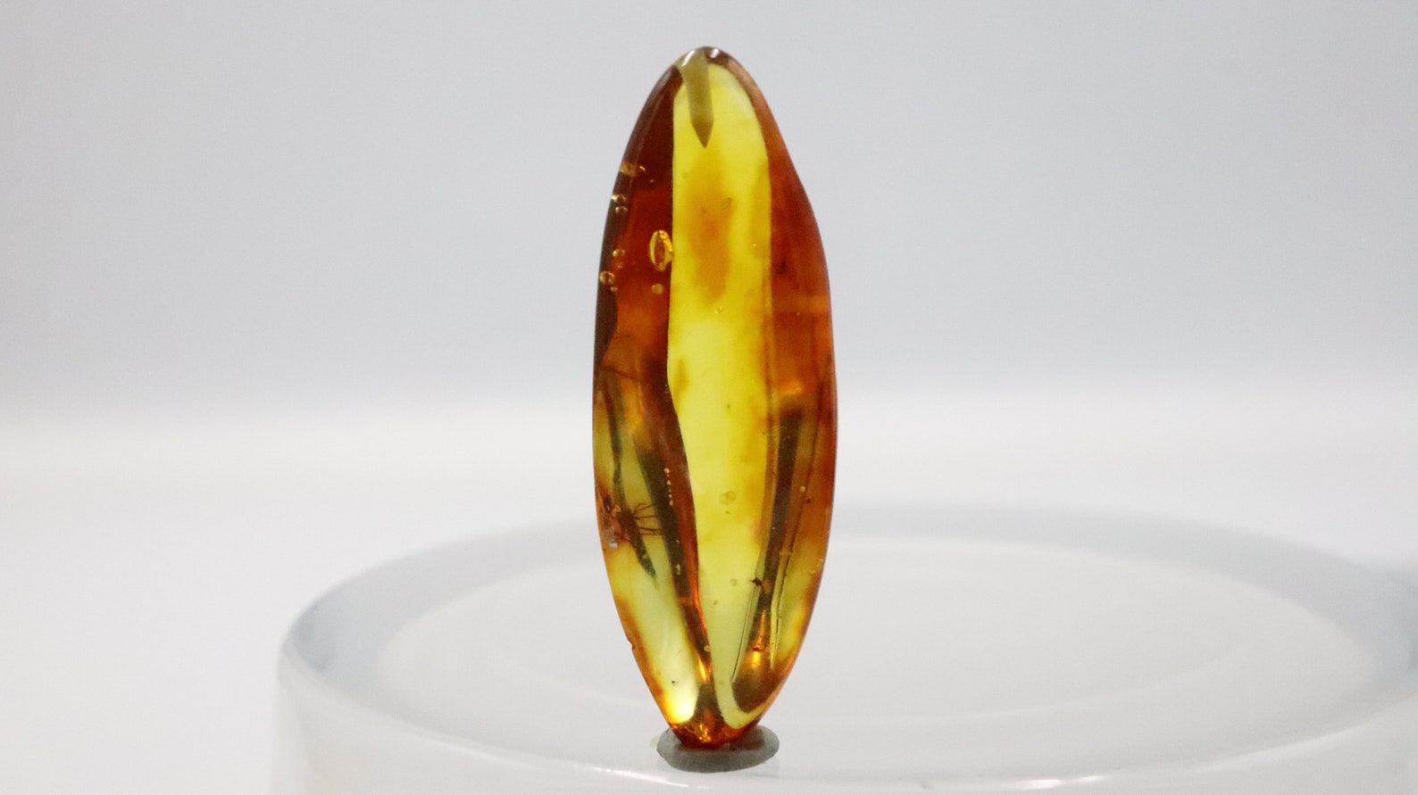 DRILLED 3 Lot Amber Stone With Insect Trapped for Million Years ...