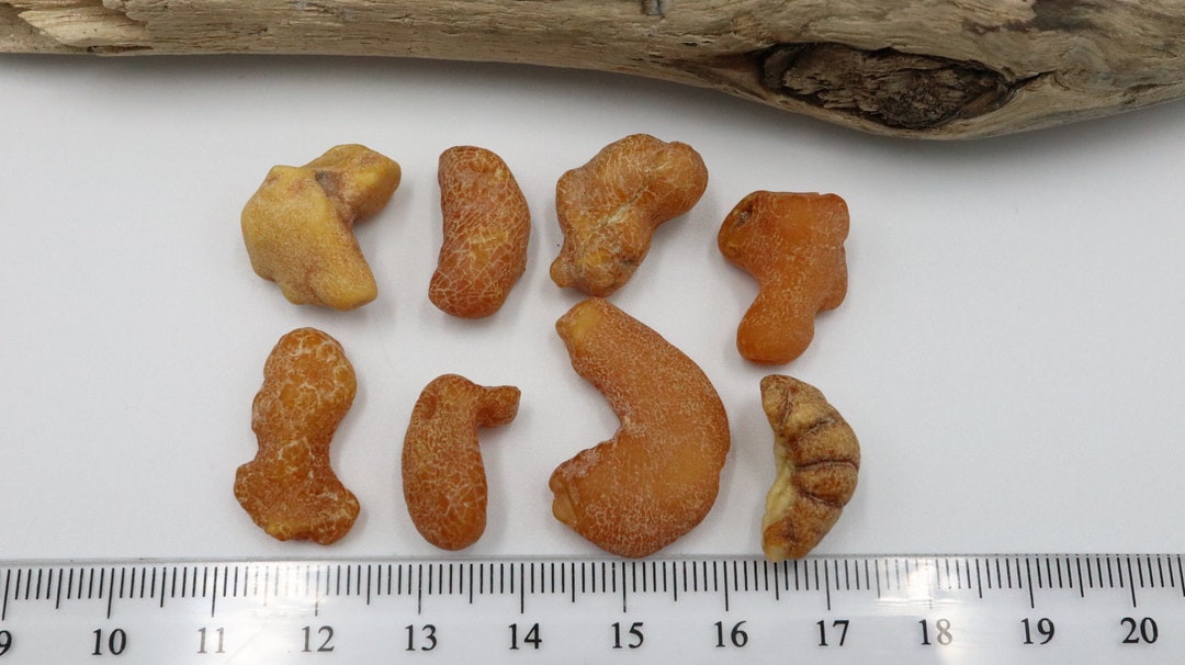 Baltic Amber Drops 8 Stones | Naturally Formed Over Millions of Years ...