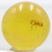 Amber Bead 8.41 Mm Sphere With Rare 2 Insects Trapped for Million Years ...