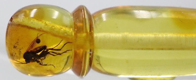 Islamic Muslim Prayer Amber 99 Beads WITH INSECTS in ALL Beads | 13.29 ...