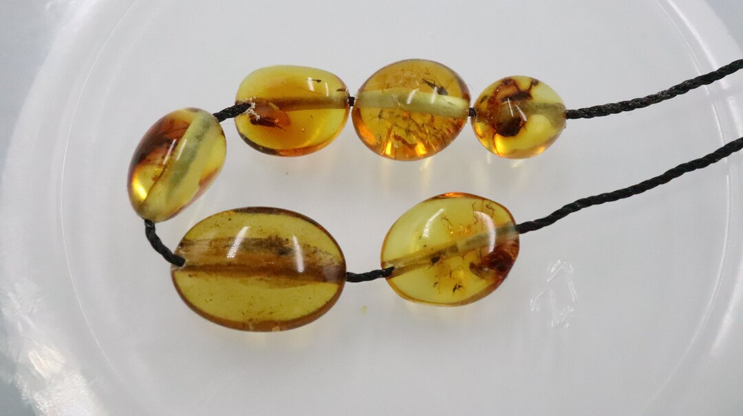 Gebohrter 6 Lot Bernstein mit Insekt für Millionen Jahre gefangen ...