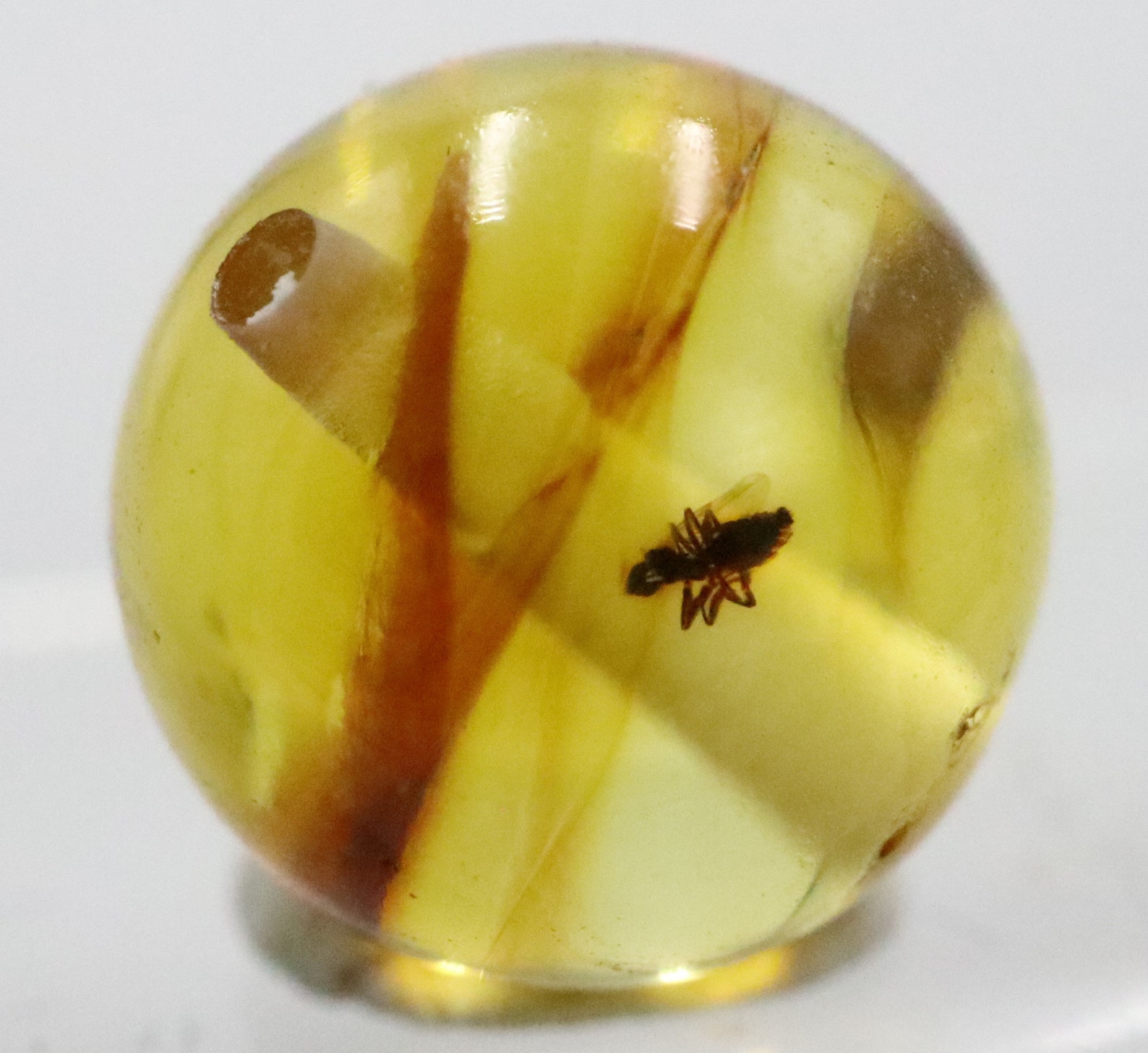 DRILLED Amber Bead 7.34 Mm Sphere With Insect Trapped for Million Years ...