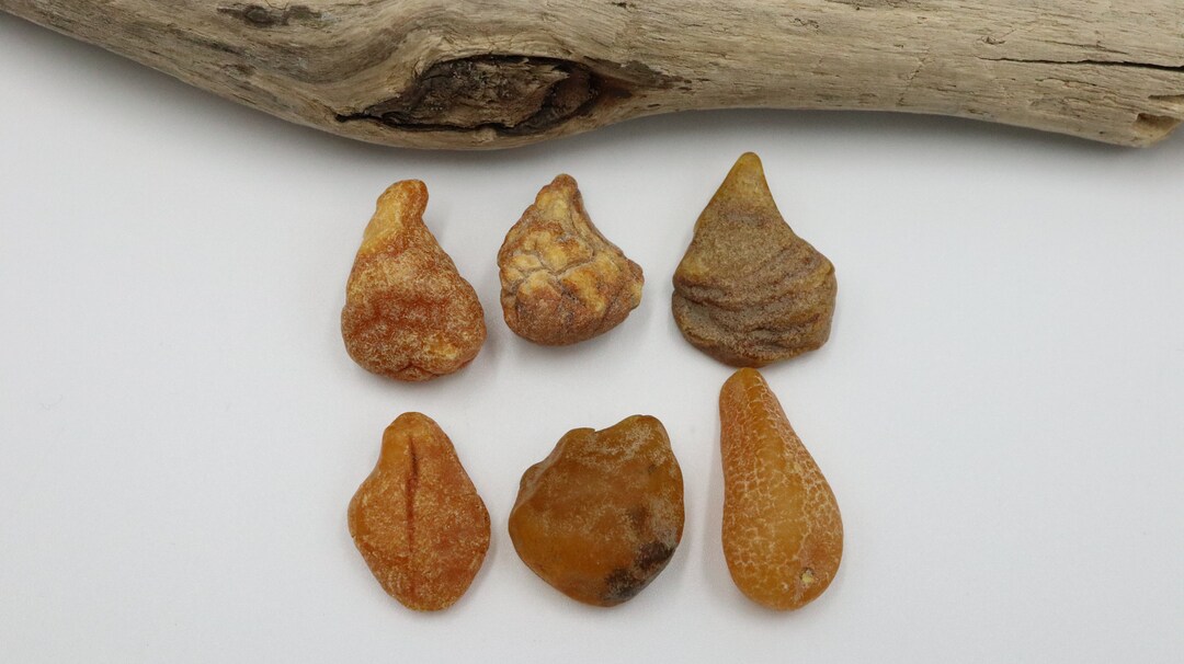 Baltic Amber Drops 6 Stones | Naturally Formed Over Millions of Years ...