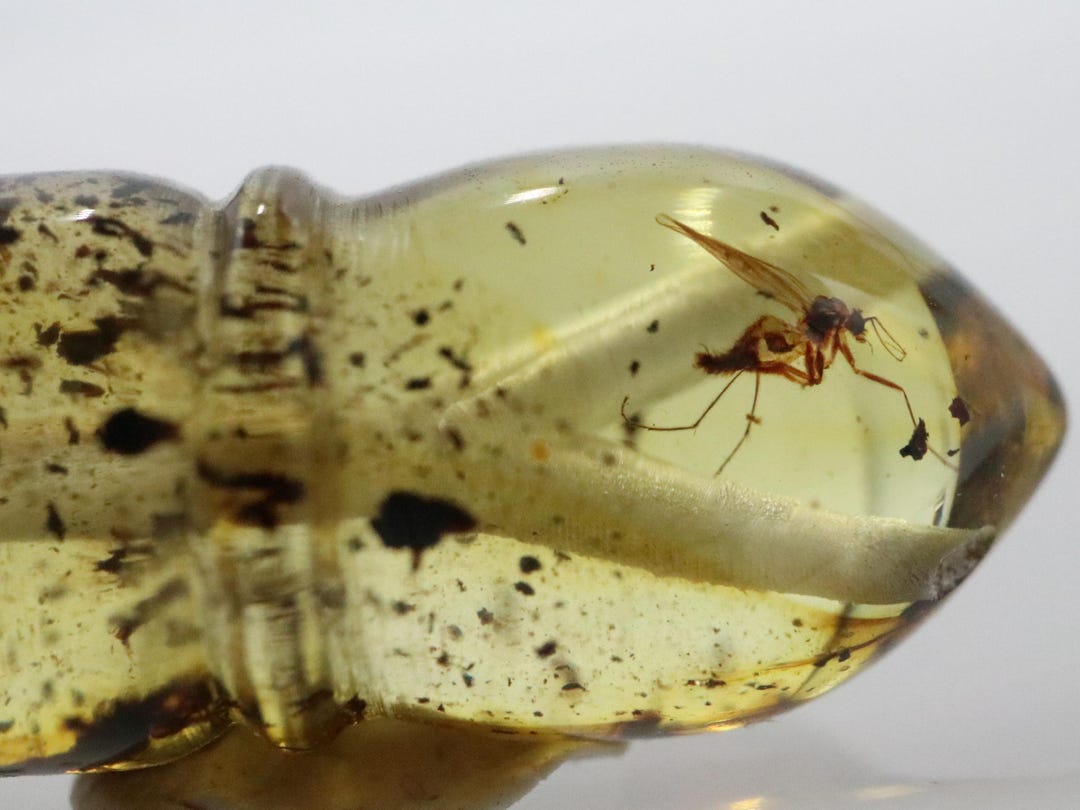 Islamic Muslim Prayer Amber 33 Beads WITH INSECTS in ALL Beads | 14 G ...