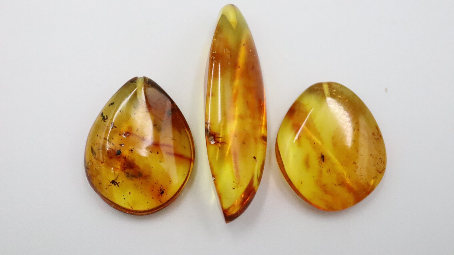 DRILLED 3 Lot Amber Stone With Insect Trapped for Million Years ...