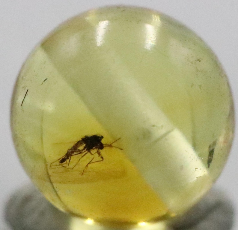 Islamic Muslim Prayer Amber 99 Beads WITH INSECTS in ALL Beads | 13.29 ...