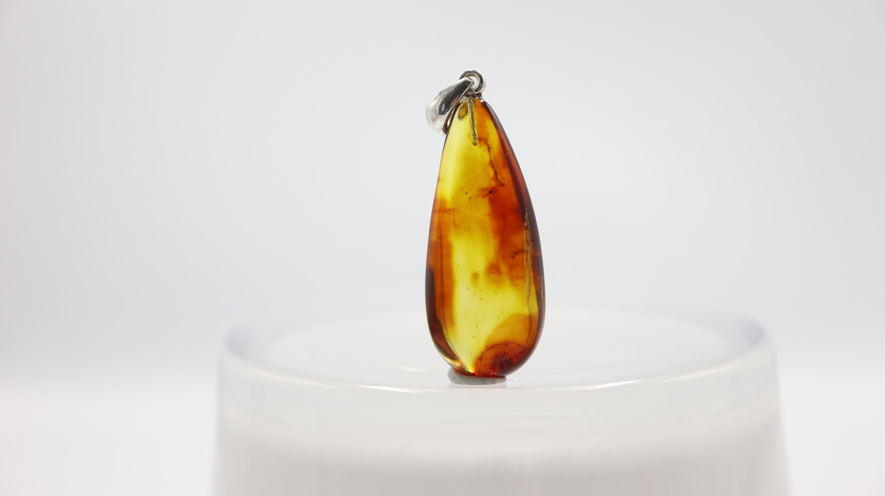 Amber Pendant With Insect 925 Sterling Silver Baltic Amber - Etsy