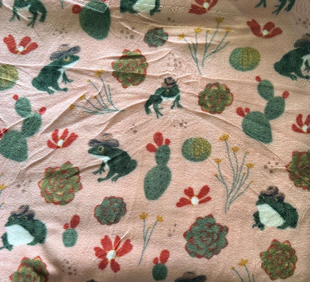 Cowboy Frogs Guinea Pig Lap Pillow / Guinea Pig Frog Bedding / Guinea ...