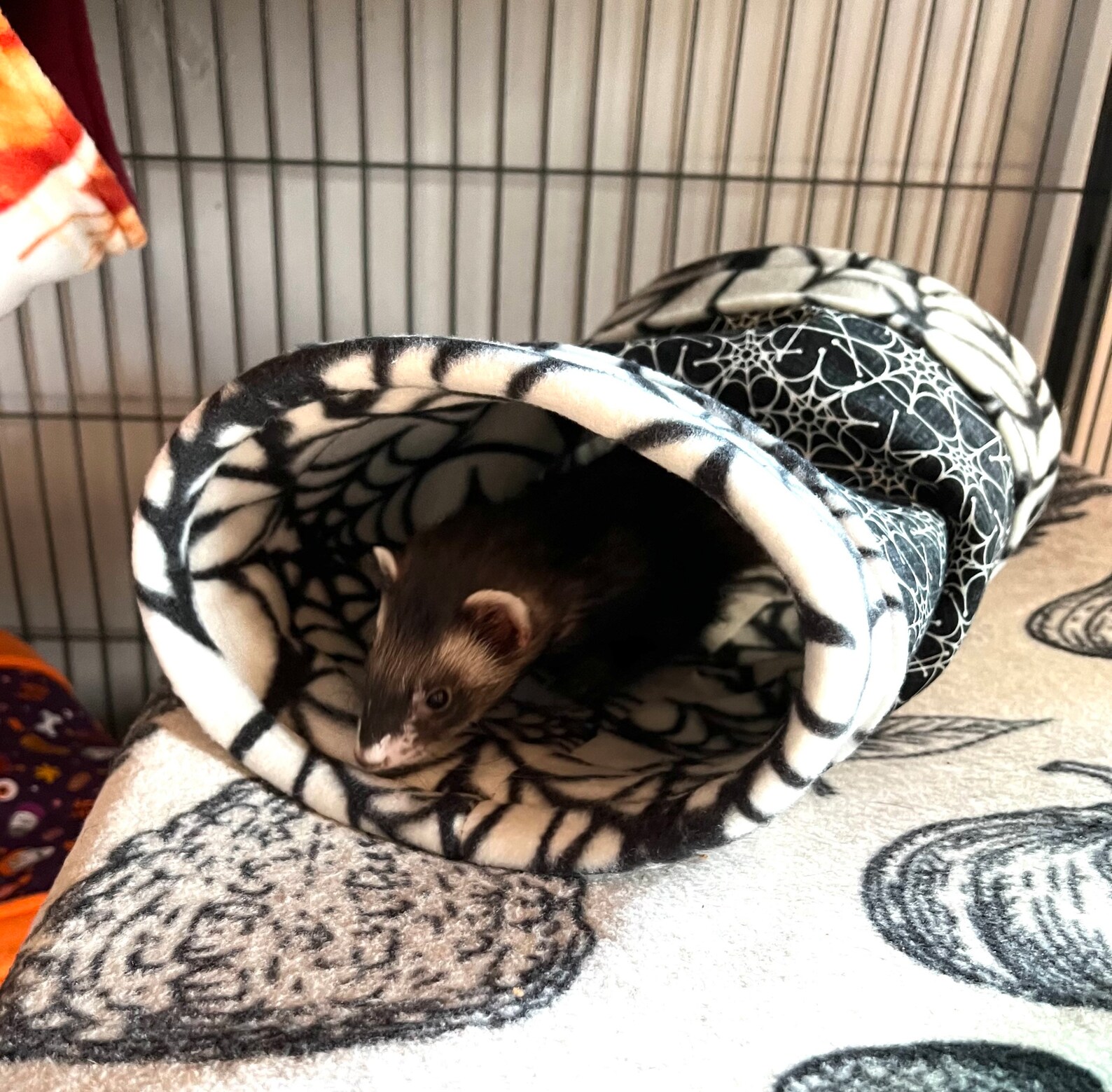 Valentine Hearts in Space Guinea Pig Tunnel / Guinea Pig Space Hideout ...