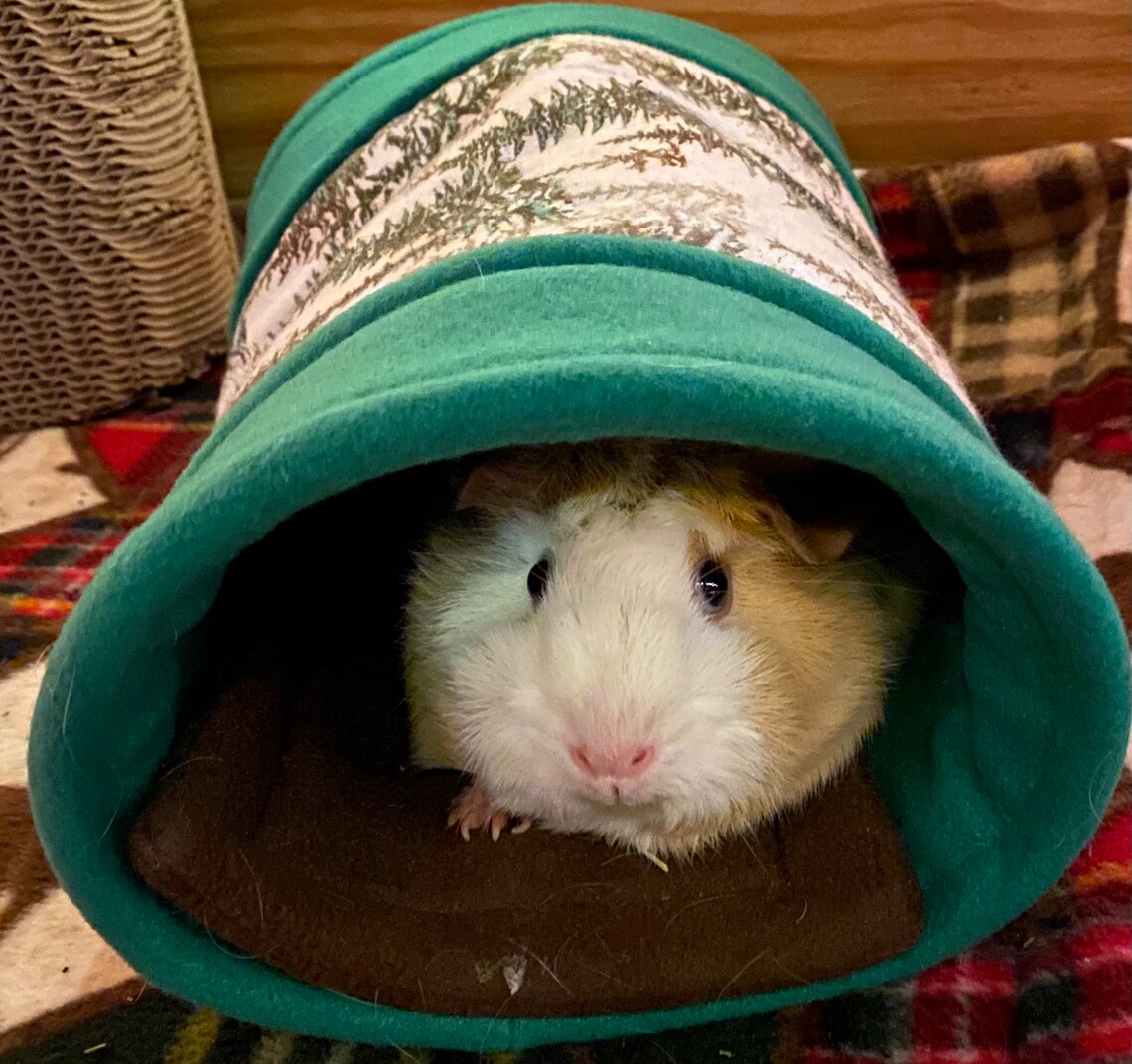 Valentine Hearts in Space Guinea Pig Tunnel / Guinea Pig Space Hideout ...