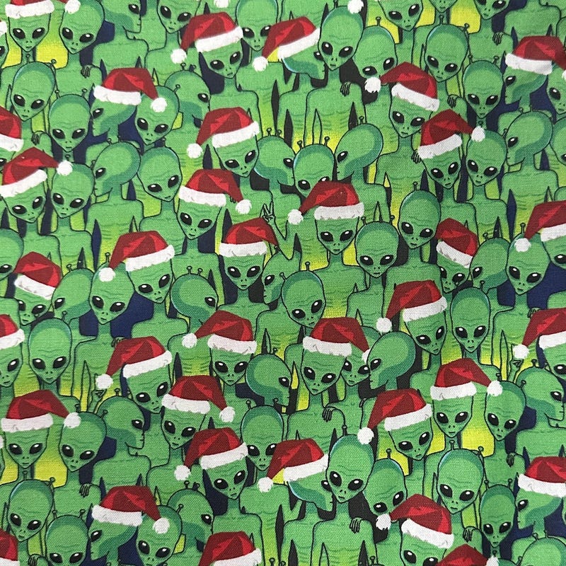 Christmas Guinea Pee Pad - Etsy