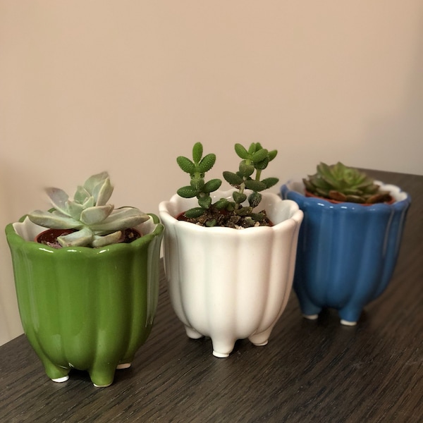 Tulip Planter - Etsy