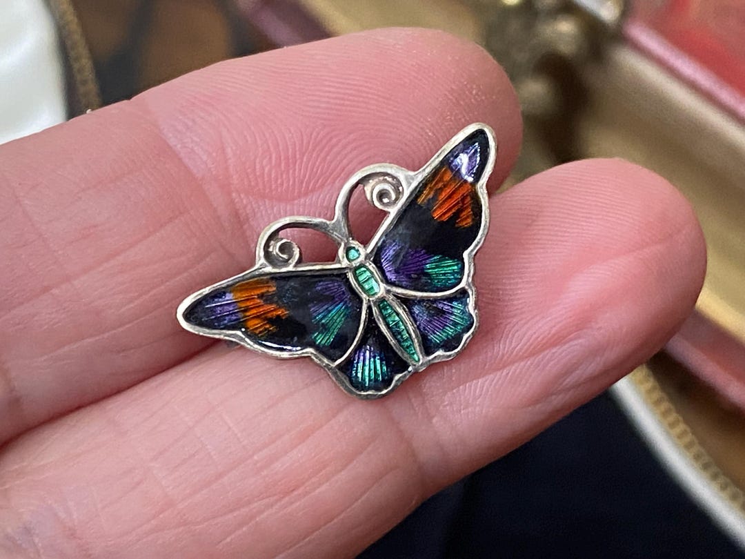 Stunning Vintage Norwegian Sterling Silver and Enamel Tiny Weeny ...