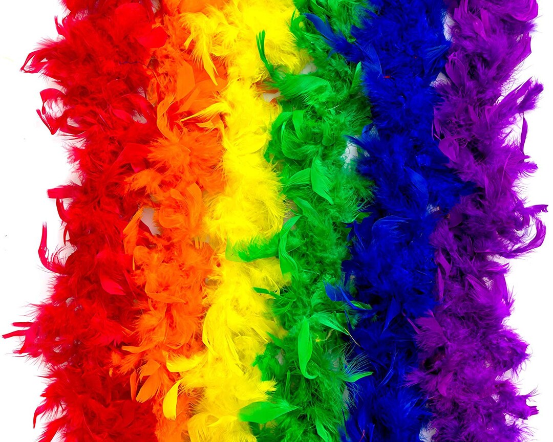 Rainbow Feather Boas 6 Pack of 6 Feet Long Boas With Feathers Perfect ...