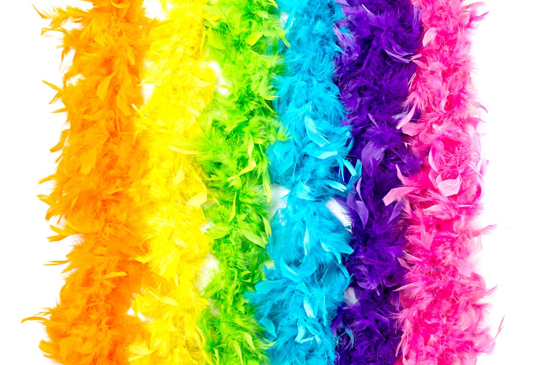 Neon Feather Boas 6 Pack of 6 Feet Long Boas With Vibrant - Etsy