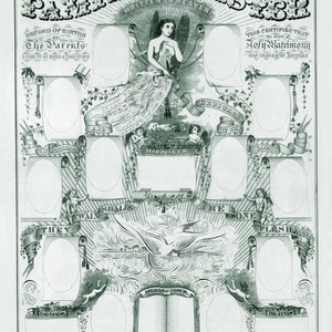 37 Family Tree 19th Century, Old Family Tree, Ancient Family Tree ...