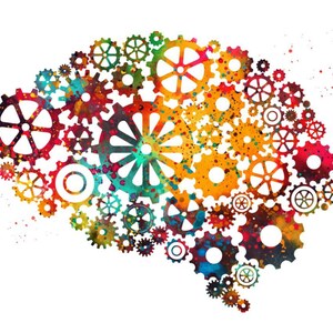 Brain Anatomy, Brain Poster, Human Brain, Medical Poster, Brain Anatomy ...