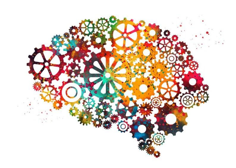 Brain Anatomy, Brain Poster, Human Brain, Medical Poster, Brain Anatomy ...