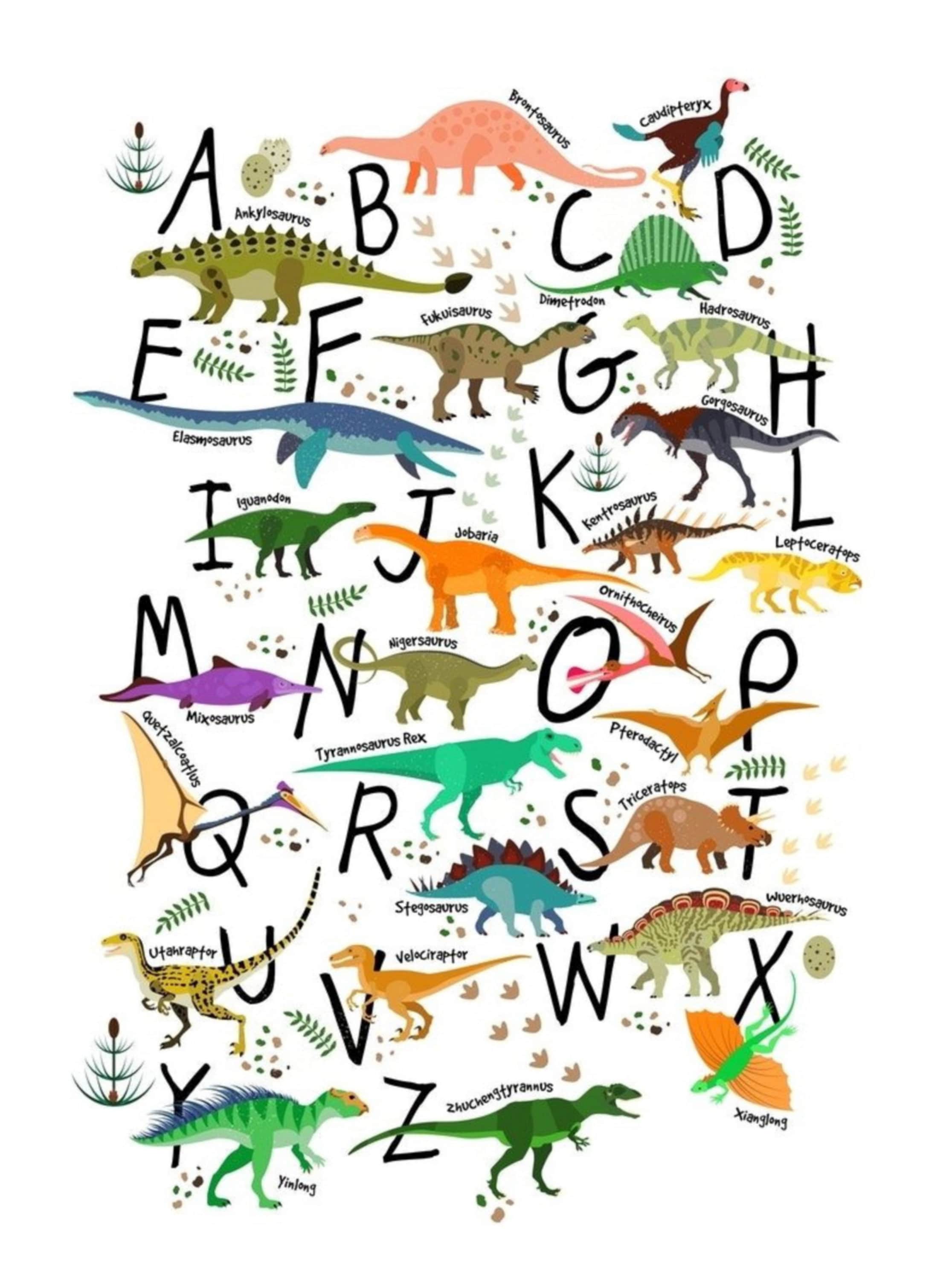 Dinosaurs Alphabet, Dinosaur Abcs, Dinosaur Room Decor, Dinosaur ...