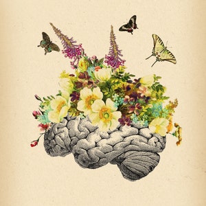 Brain Anatomy, Brain Poster, Human Brain, Medical Poster, Brain Anatomy ...